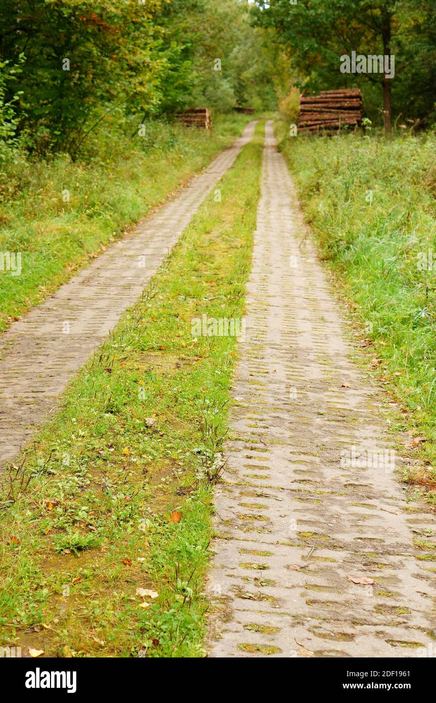 A vertical shot of a concrete pathway with a blurred background Stock ...