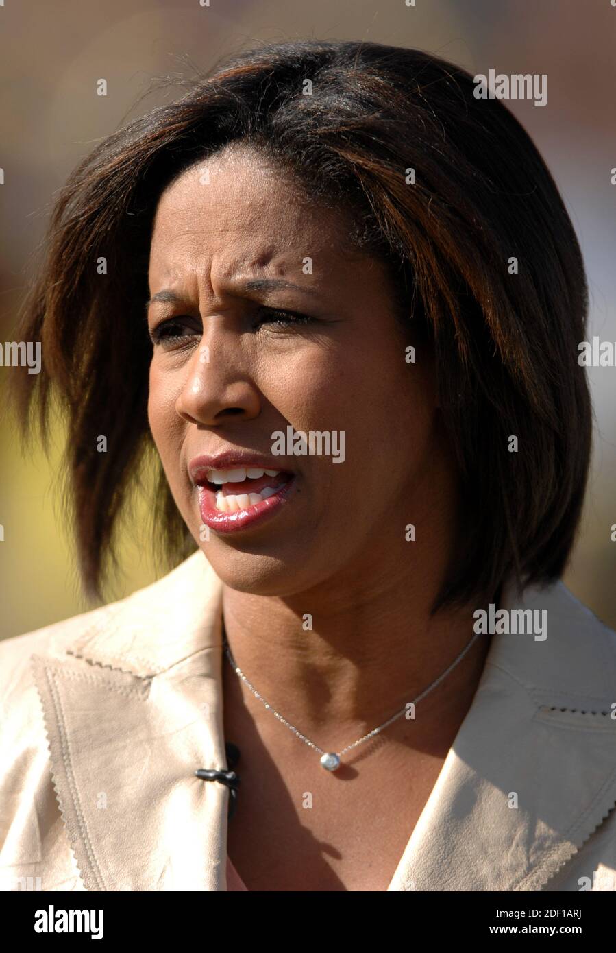 Pasadena, United States. 01st Jan, 2007. ESPN on ABC sideline reporter ...