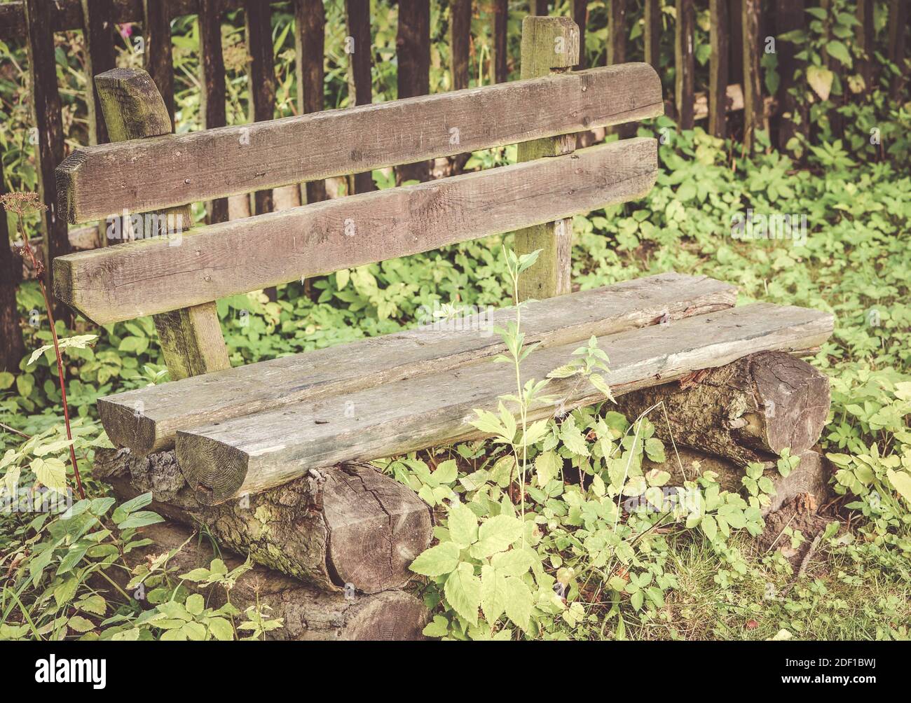 An old wooden bench in the park surrounded by grass and plants Stock ...