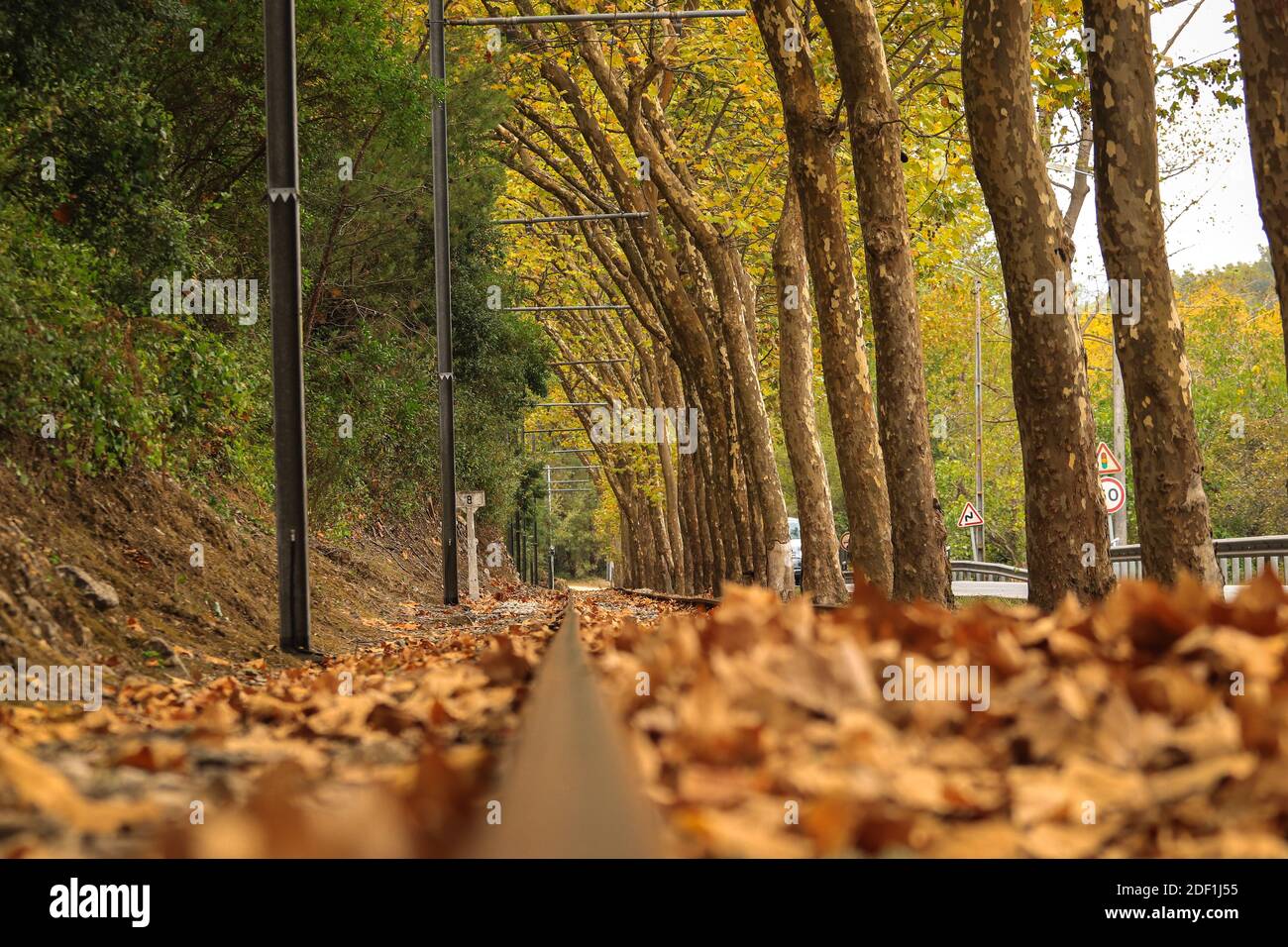 Fallen tree train hi-res stock photography and images - Alamy
