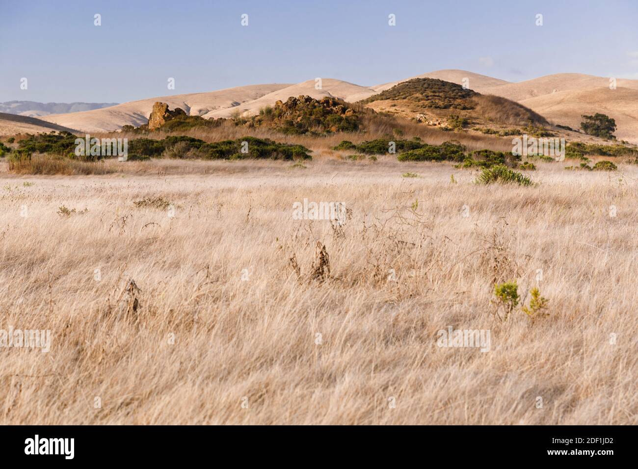 dry grasslands on the California coast Stock Photo - Alamy
