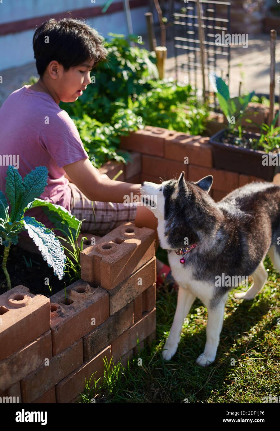 Siberian boy hi-res stock photography and images - Alamy