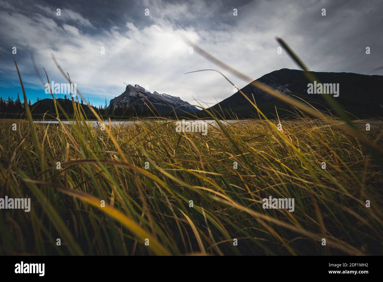 Mt Rundle in Banff National Park, seen from Vermillion Lakes Stock ...