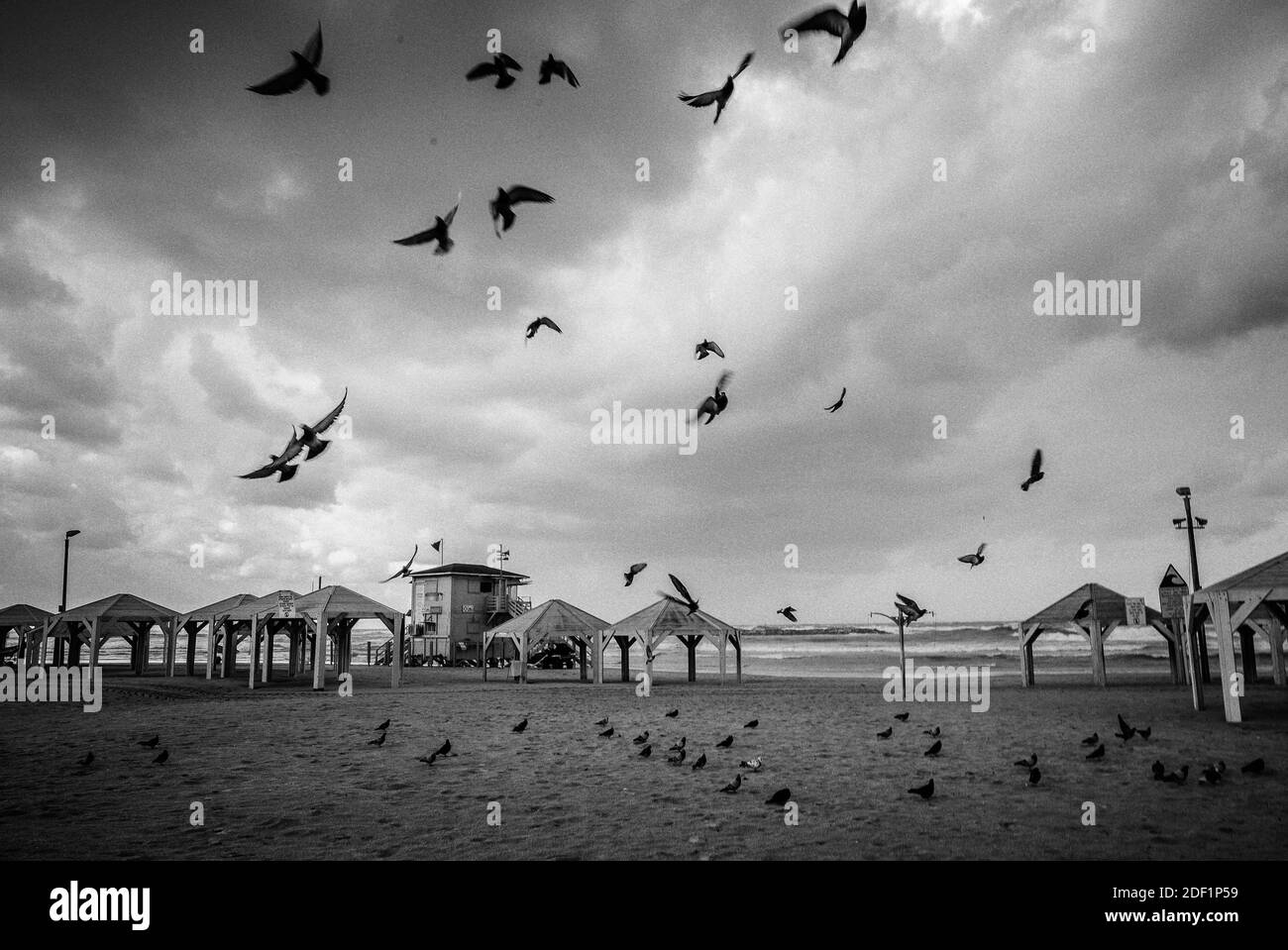 Daily life in Tel-Aviv, Israel, on January 24, 2020. Photo by Eliot ...