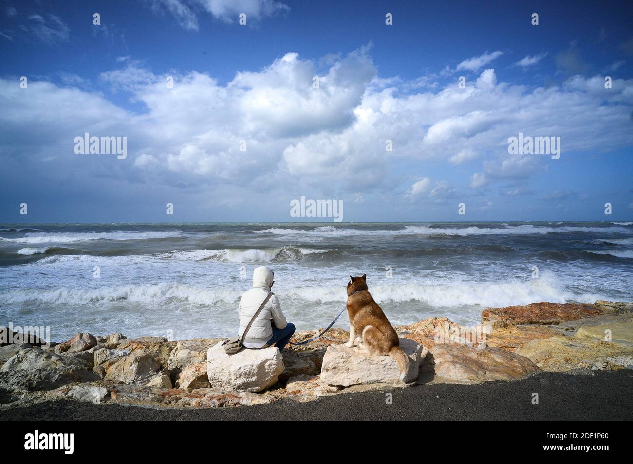 Daily life in Tel-Aviv, Israel, on January 24, 2020. Photo by Eliot ...