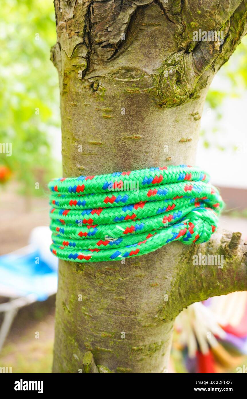 Rope around trunk hi-res stock photography and images - Alamy