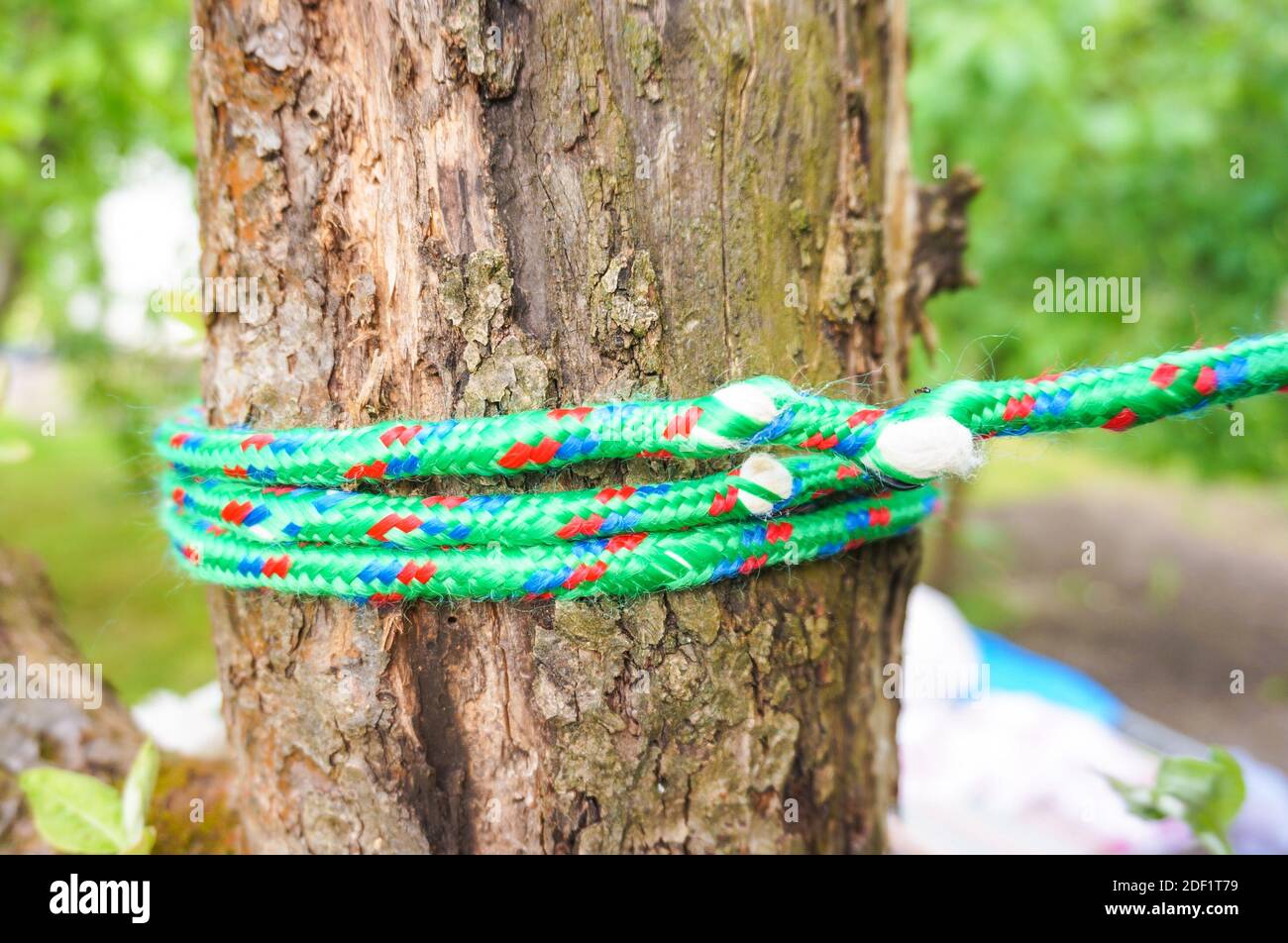 Rope around trunk hi-res stock photography and images - Alamy