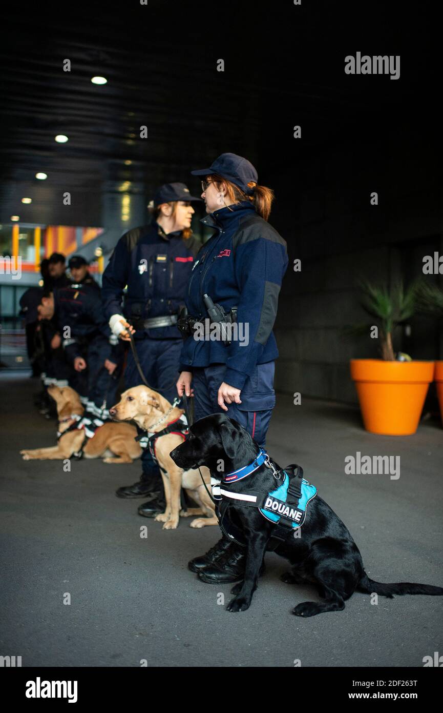 Illustration customs officers at customs service center to combat ...