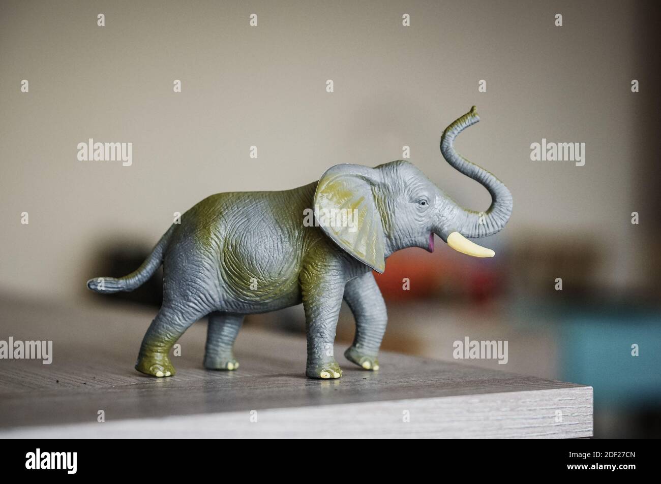 A closeup shot of an elephants toy Stock Photo - Alamy