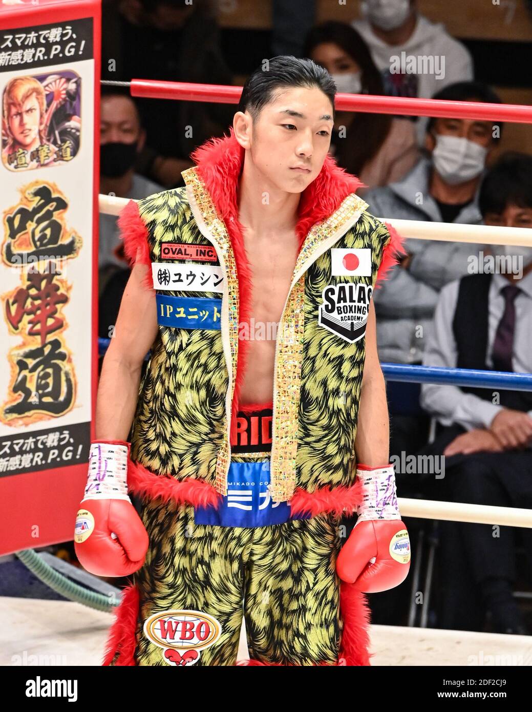 Tokyo, Japan. 28th Nov, 2020. Musashi Mori Boxing : WBO Asia Pacific ...