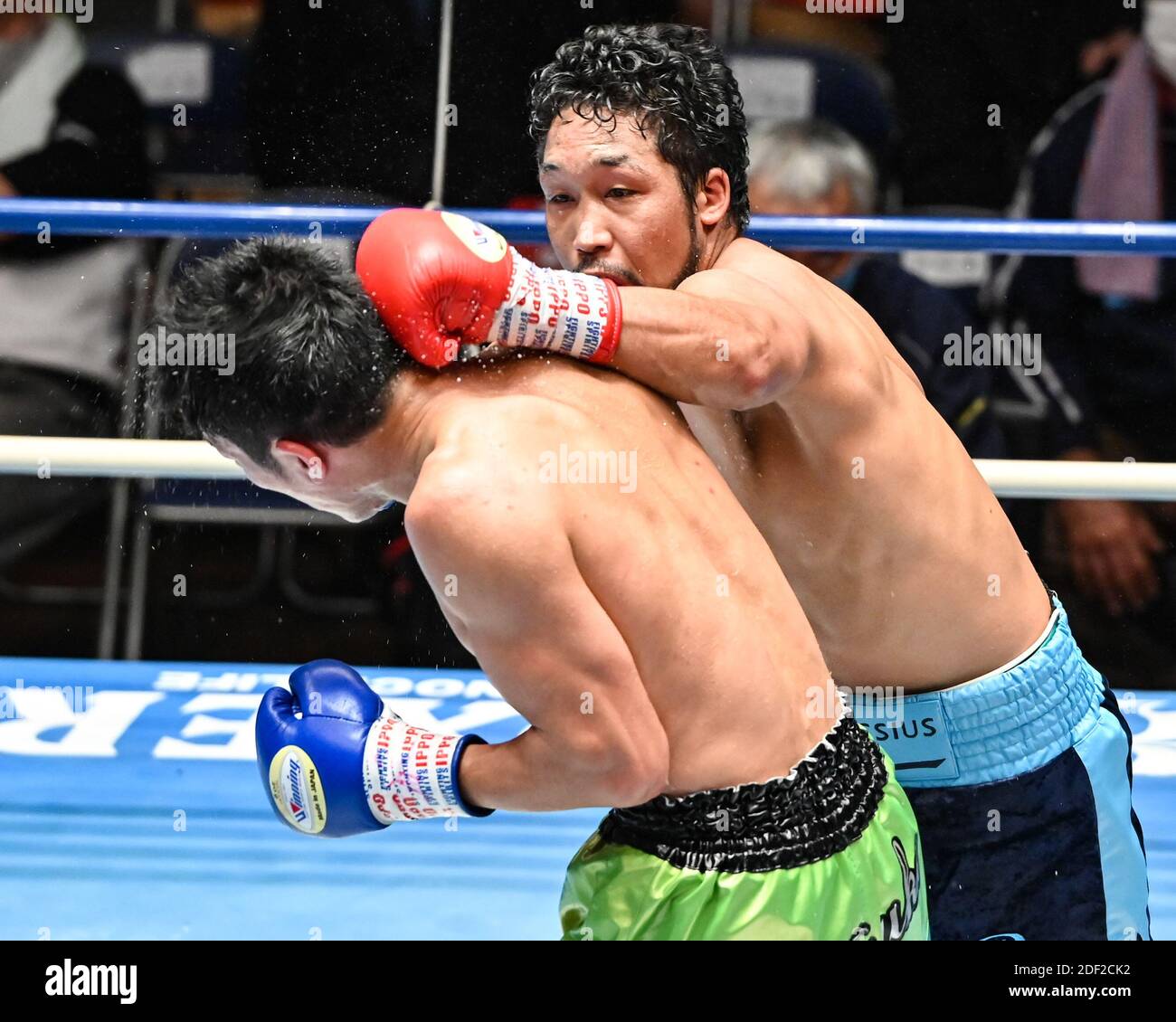 Tokyo, Japan. 21st Nov, 2020. (R-L) Rikki Naito, Yusuke Konno Boxing ...
