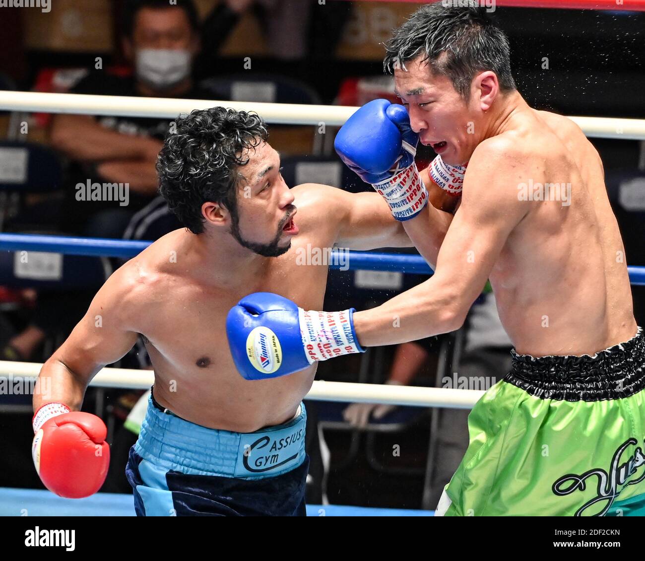 Tokyo, Japan. 21st Nov, 2020. (L-R) Rikki Naito, Yusuke Konno Boxing ...
