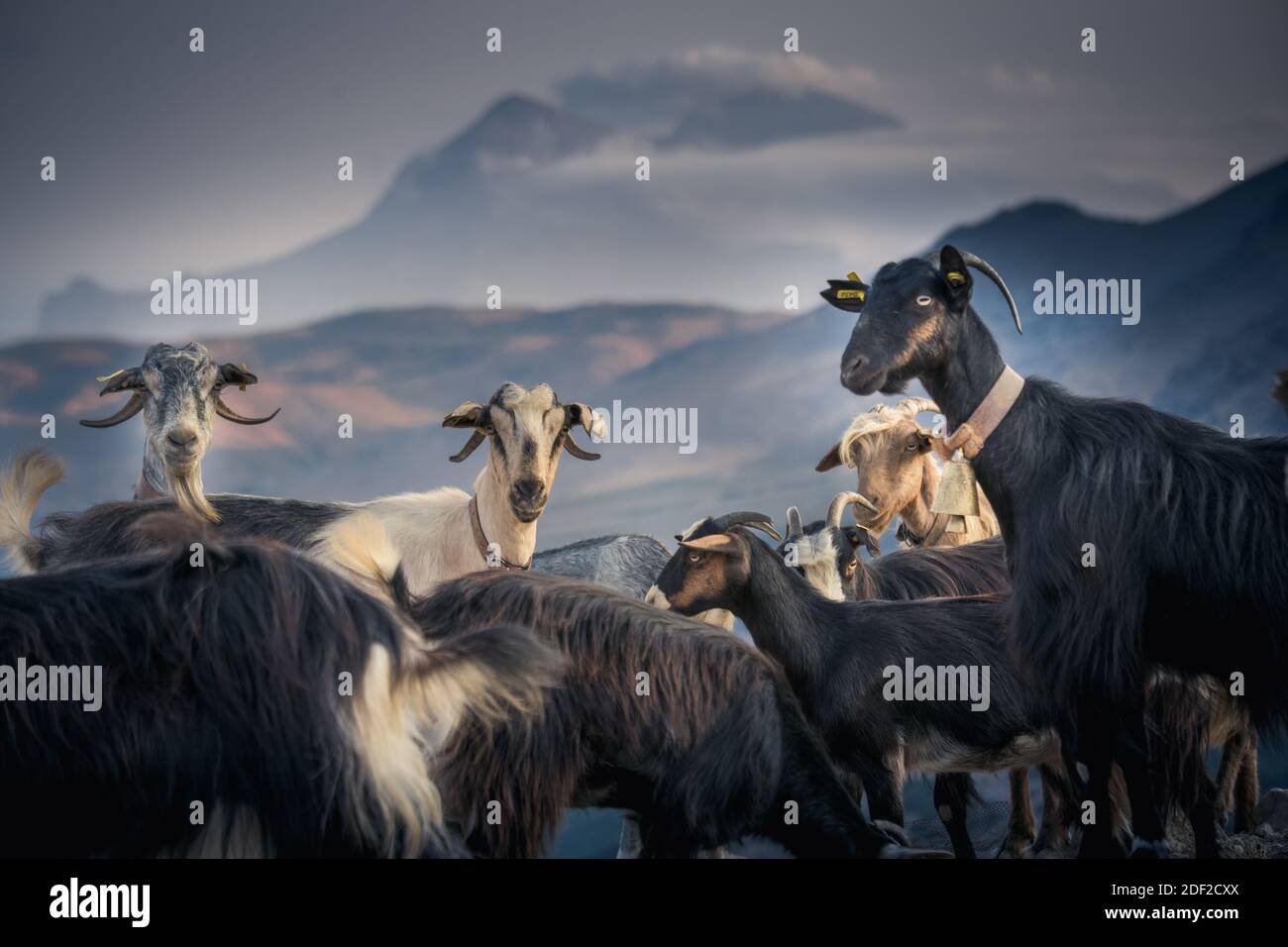 Sfinari crete hi-res stock photography and images - Alamy