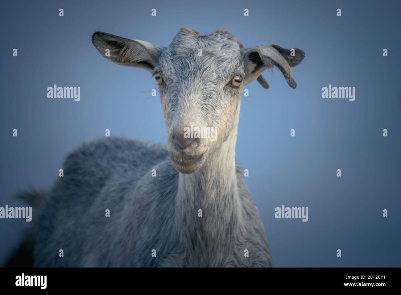 Sfinari crete hi-res stock photography and images - Alamy