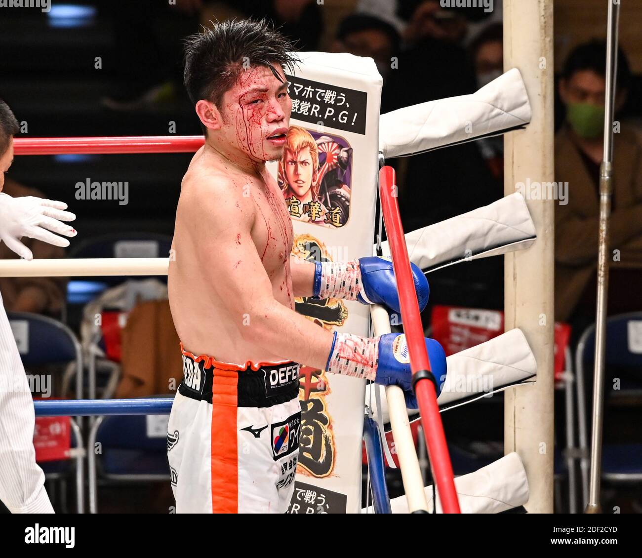 Tokyo, Japan. 28th Nov, 2020. Tsuyoshi Tameda Boxing : WBO Asia Pacific ...