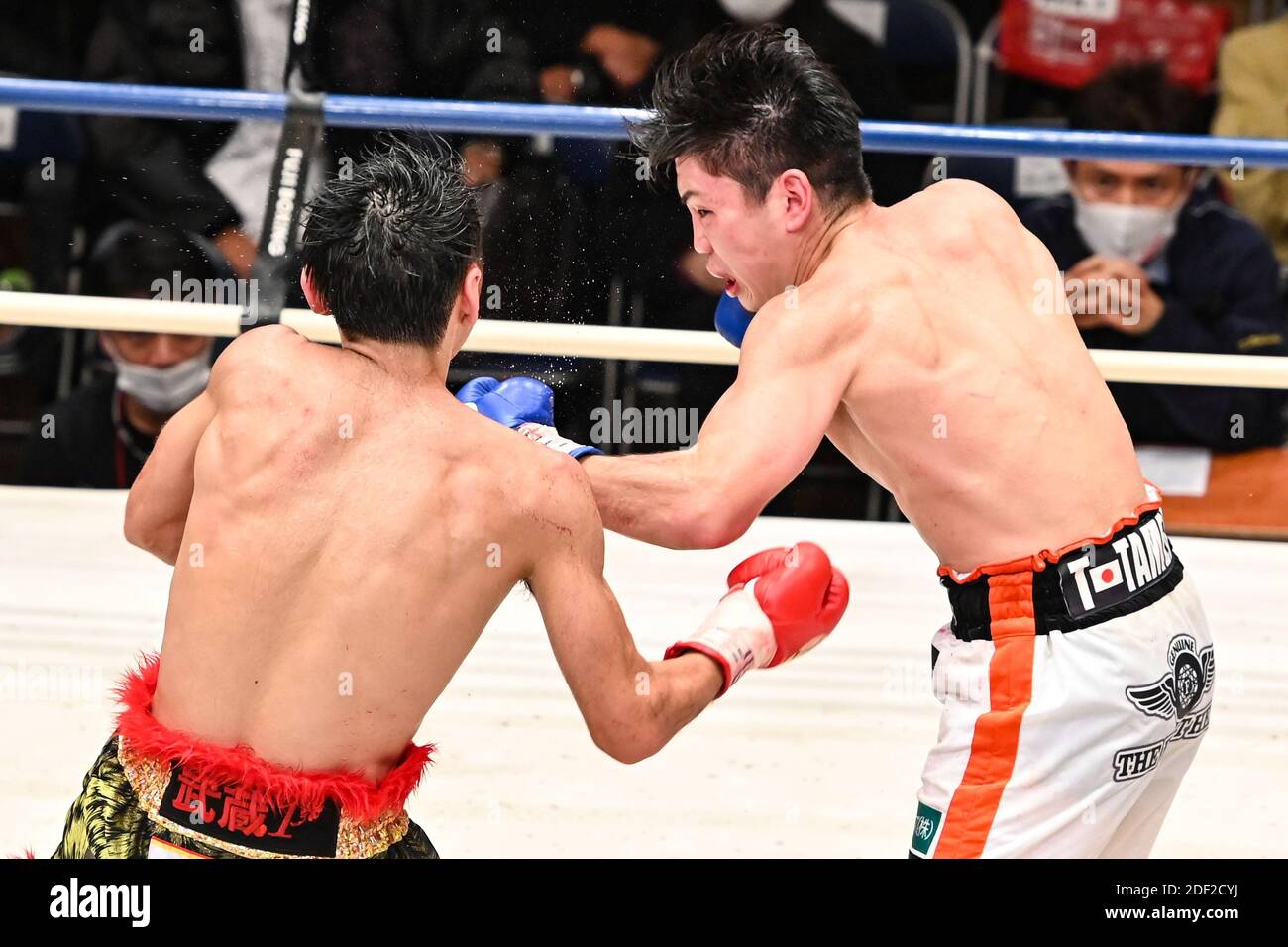 Tokyo, Japan. 28th Nov, 2020. (R-L) Tsuyoshi Tameda, Musashi Mori ...