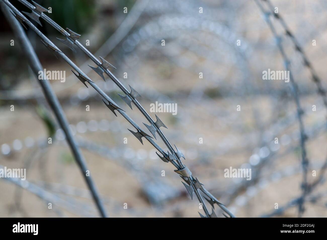 Sharp barbed wire shape with background blur and selective focus Stock ...