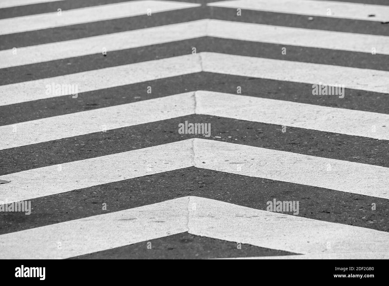 zebra crosses black and white triangles motif, perfect for backdrops ...