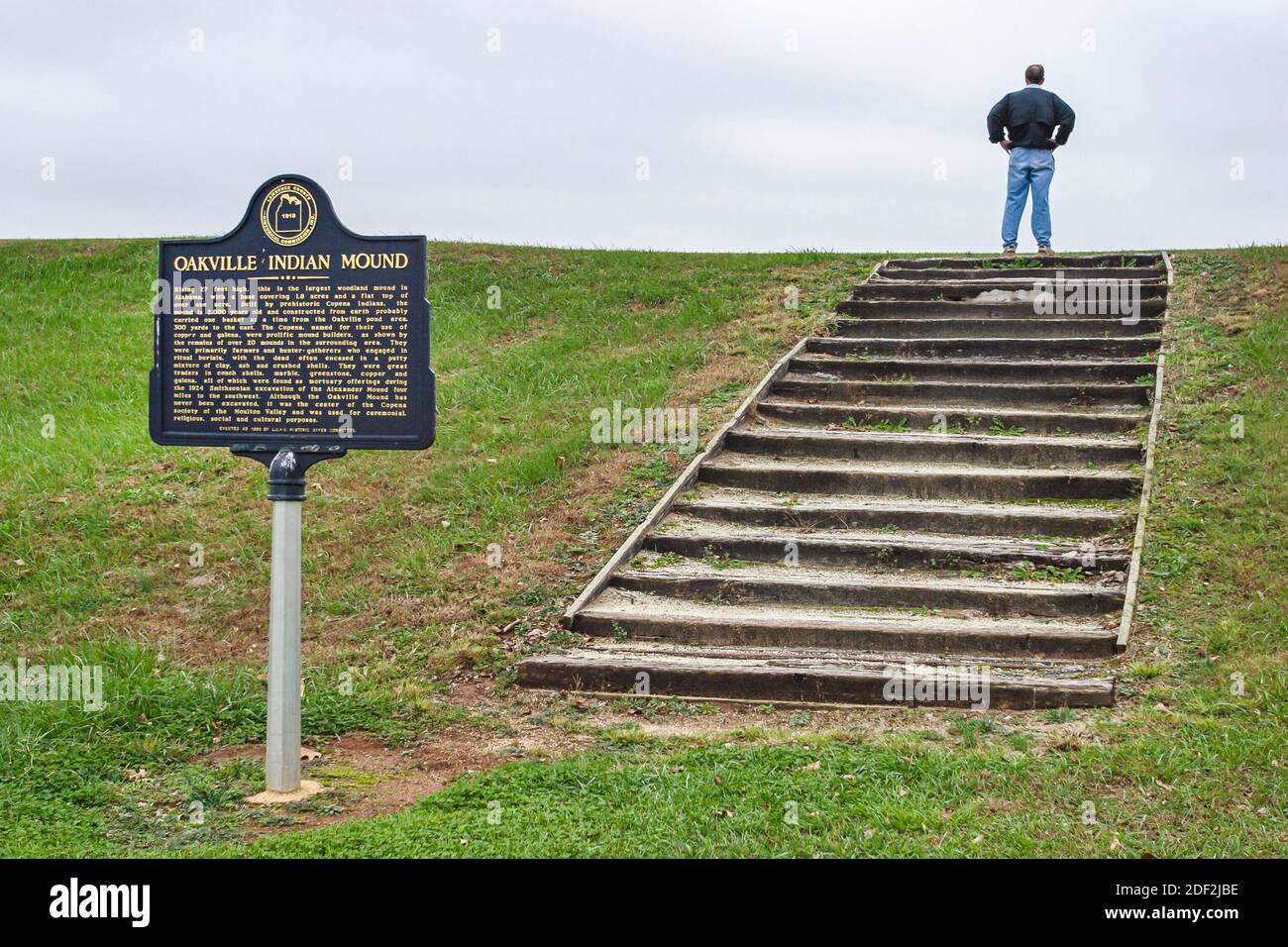 Indian Woodland High Resolution Stock Photography and Images - Alamy