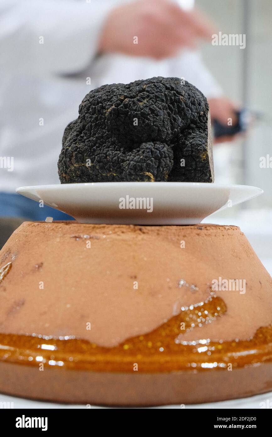 A Truffle on a terracotta pot in Castelnaudary( Aude) on February 16 ...