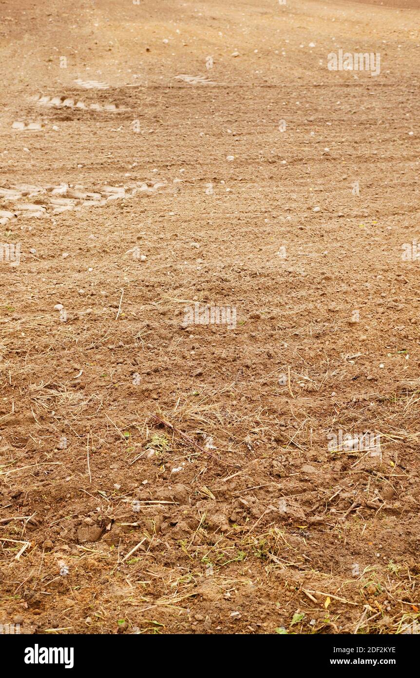Vertical shot drought land hi-res stock photography and images - Alamy