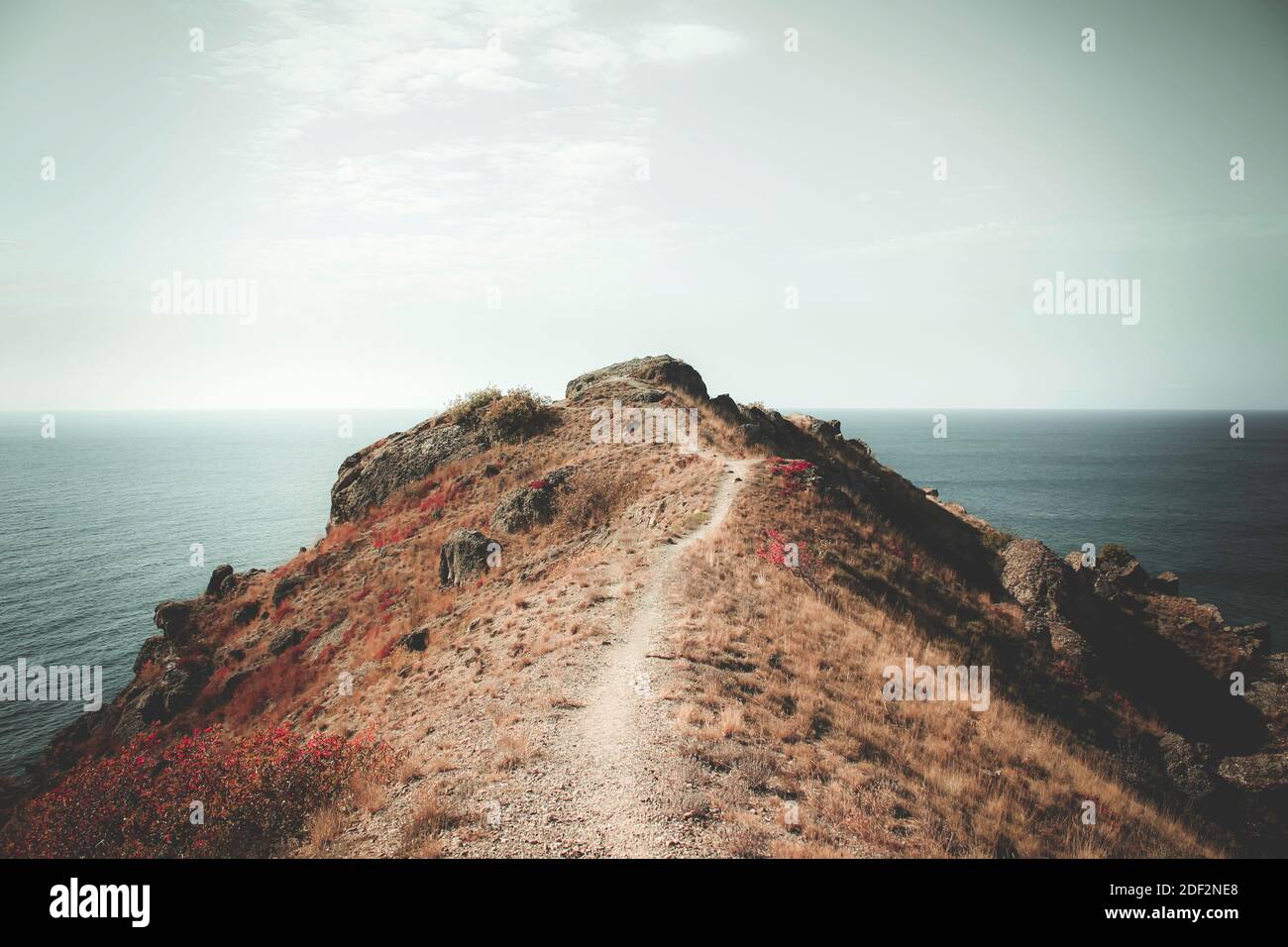 Moody landscape hi-res stock photography and images - Alamy