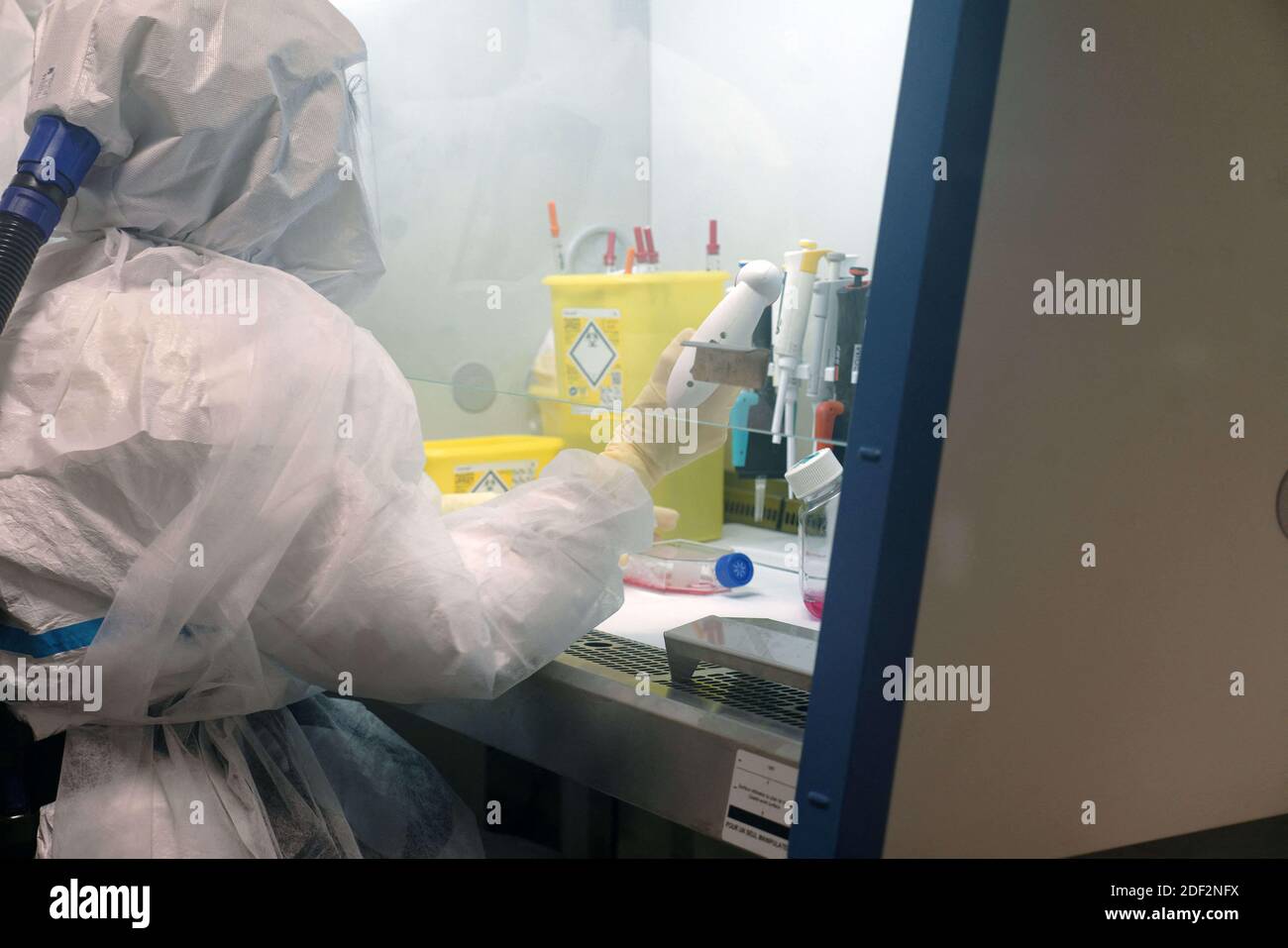 P3 laboratory hi-res stock photography and images - Alamy