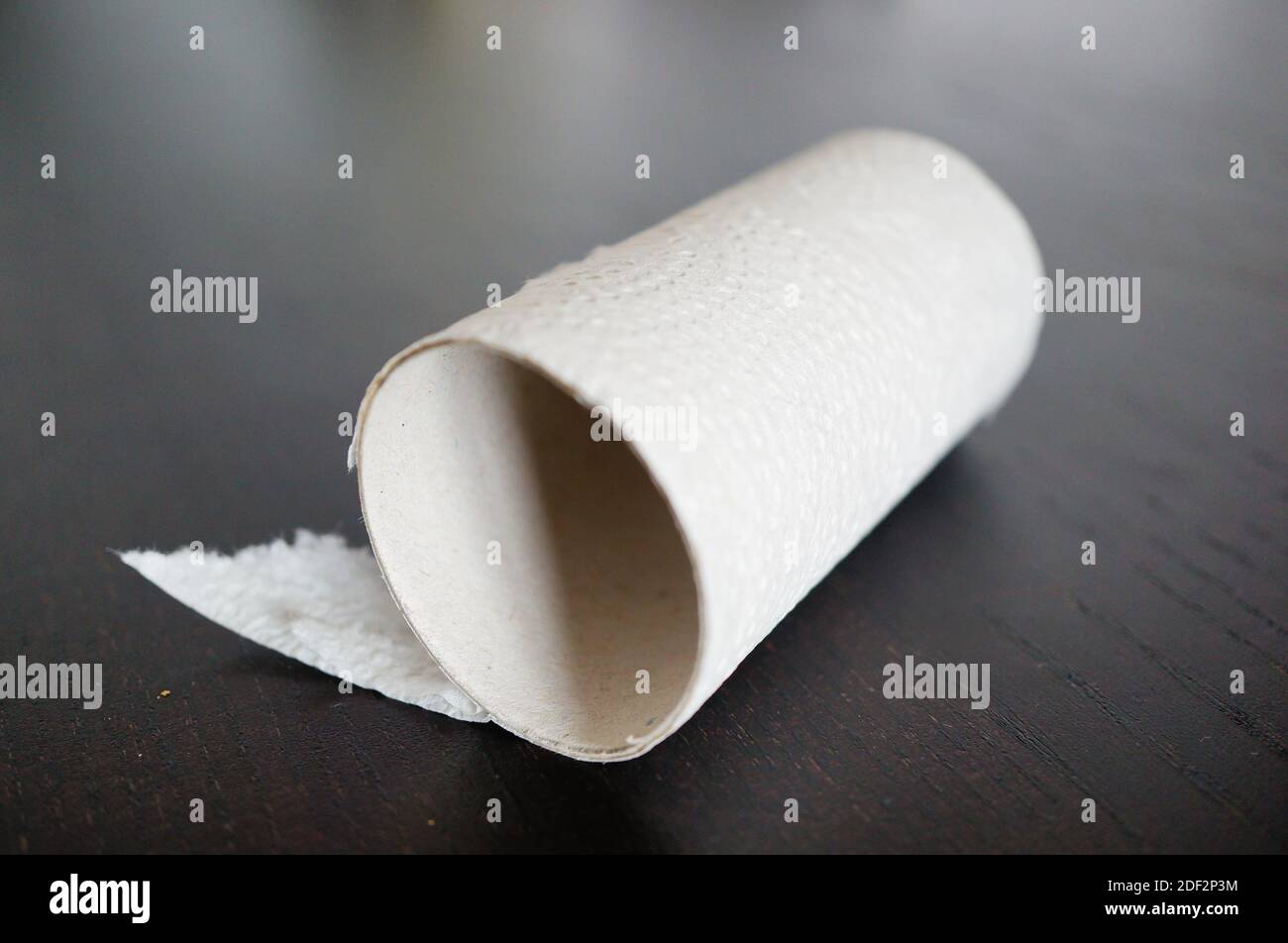 A finished toilet paper roll on the ground Stock Photo - Alamy