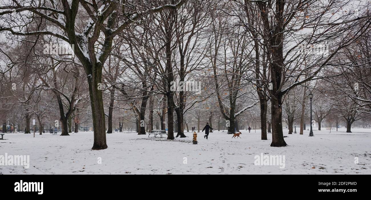 Trinity Bellwoods Park in Toronto Stock Photo - Alamy
