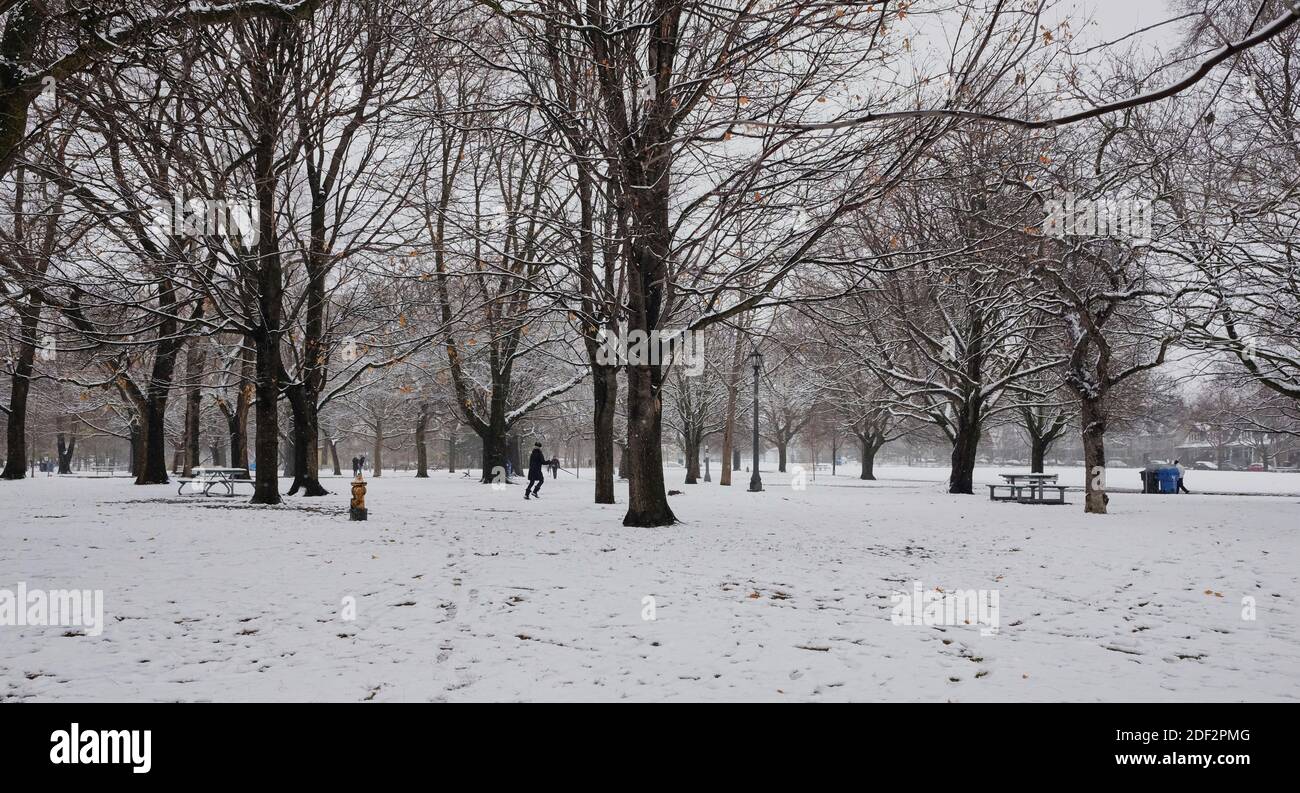 Trinity Bellwoods Park in Toronto Stock Photo - Alamy