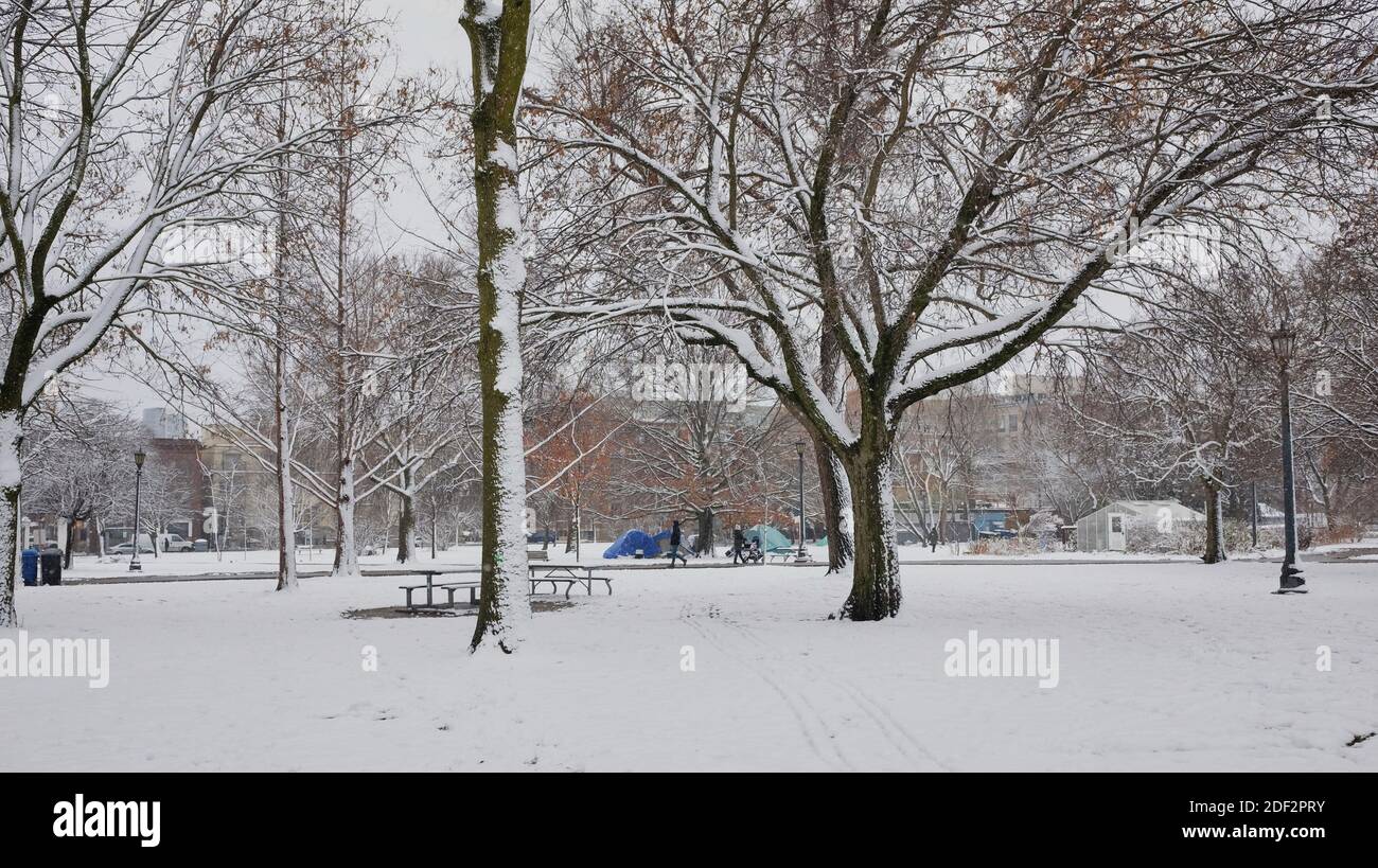 Trinity Bellwoods Park in Toronto Stock Photo - Alamy