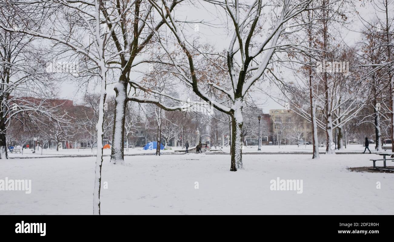 Trinity Bellwoods Park in Toronto Stock Photo - Alamy