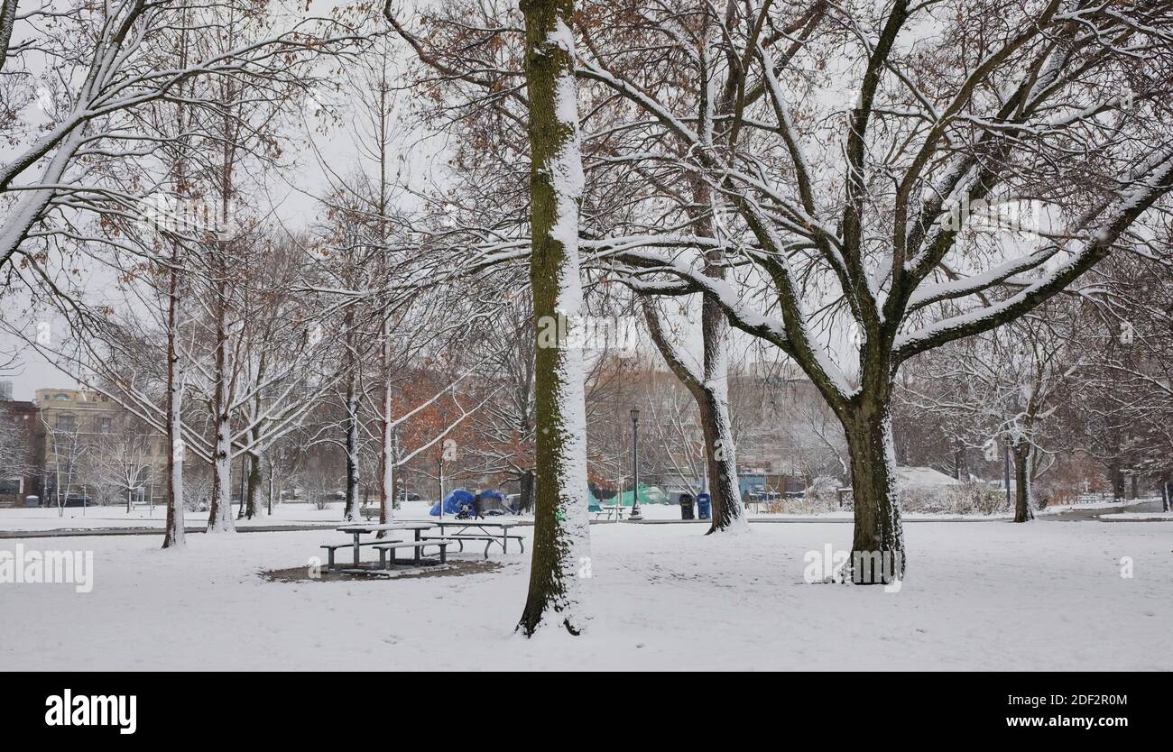 Trinity Bellwoods Park in Toronto Stock Photo - Alamy