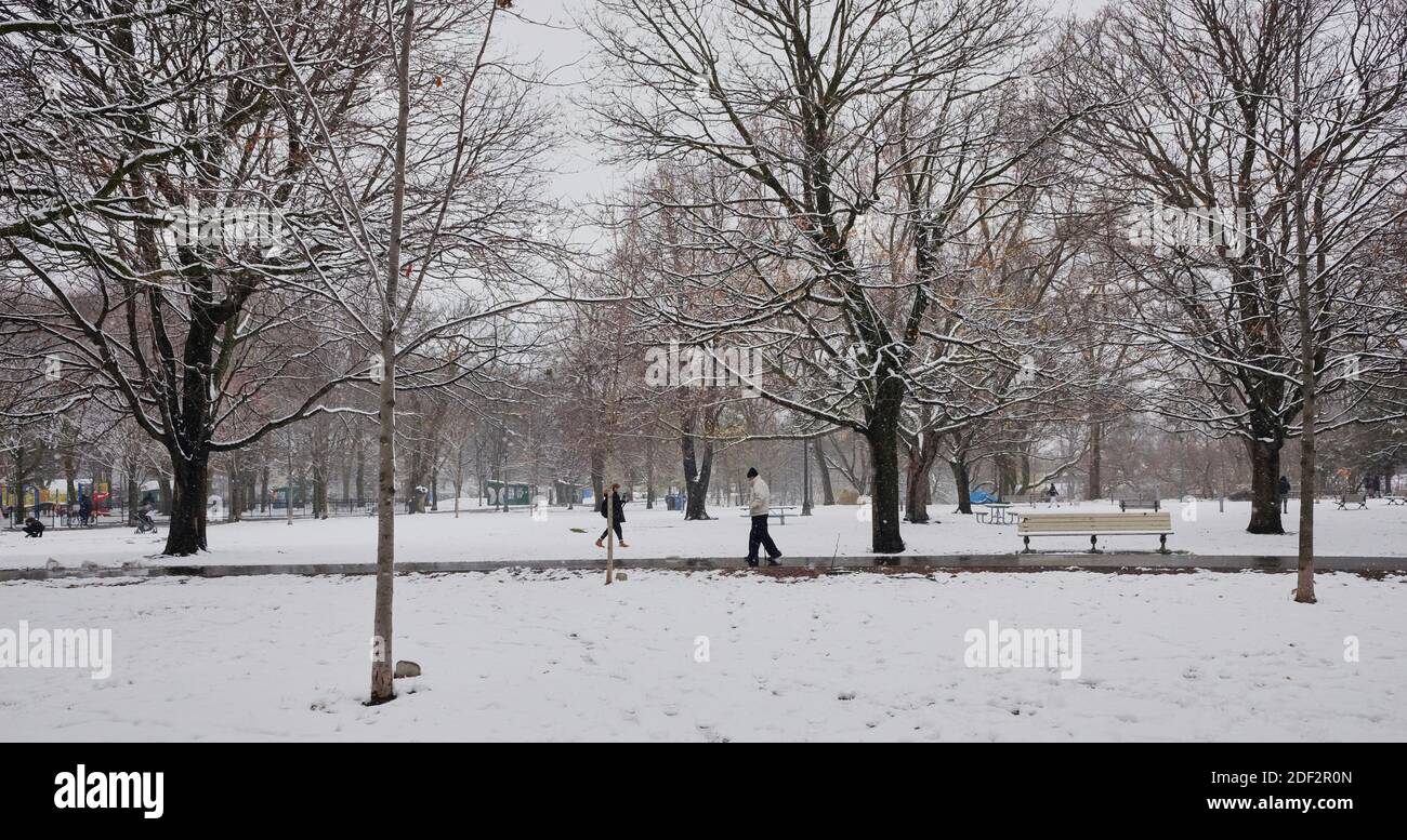 Trinity Bellwoods Park in Toronto Stock Photo - Alamy