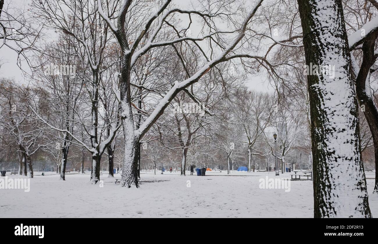 Trinity Bellwoods Park in Toronto Stock Photo - Alamy