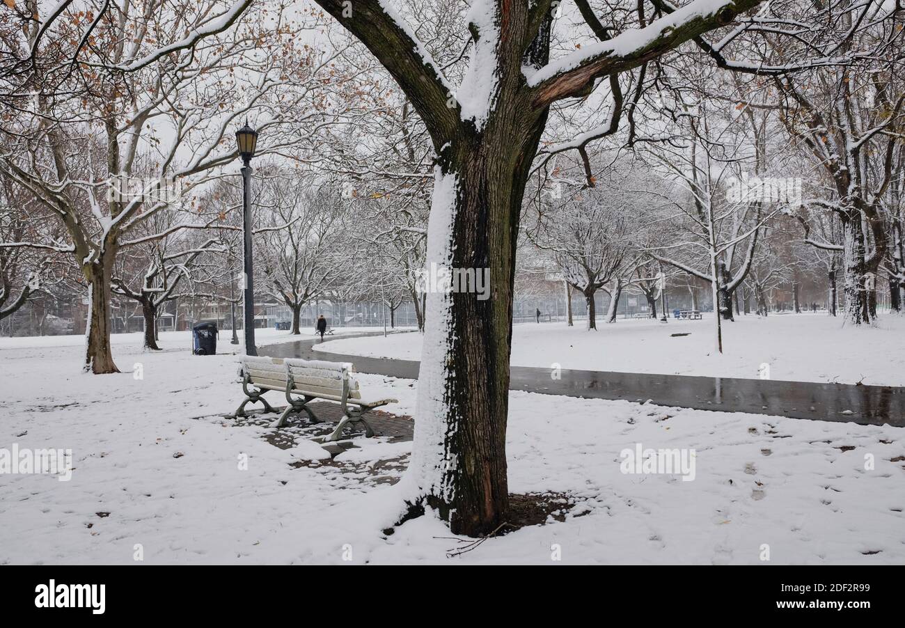 Trinity Bellwoods Park in Toronto Stock Photo - Alamy