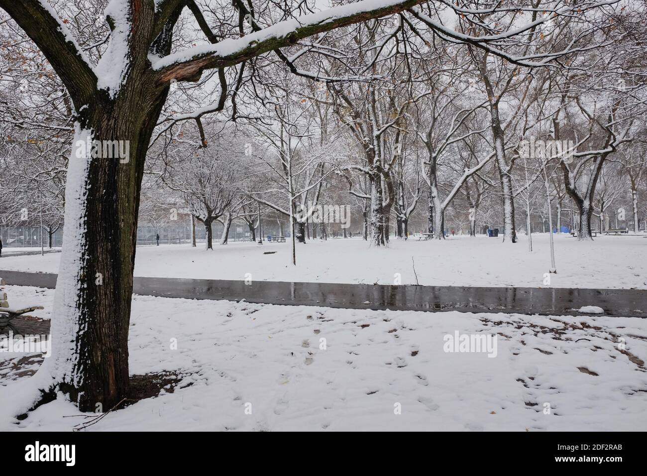 Trinity Bellwoods Park in Toronto Stock Photo - Alamy