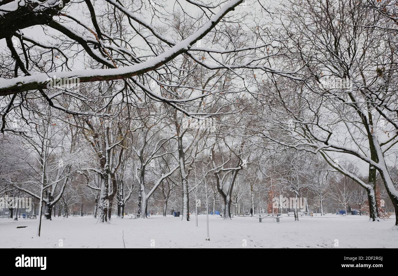 Trinity Bellwoods Park in Toronto Stock Photo - Alamy