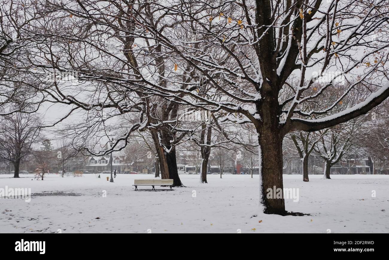 Trinity Bellwoods Park in Toronto Stock Photo - Alamy