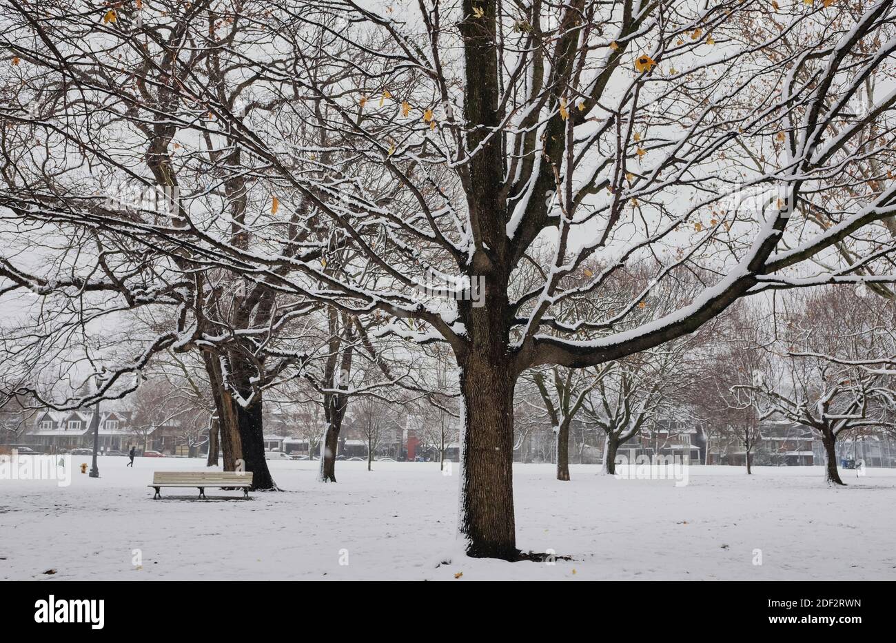 Trinity Bellwoods Park in Toronto Stock Photo - Alamy