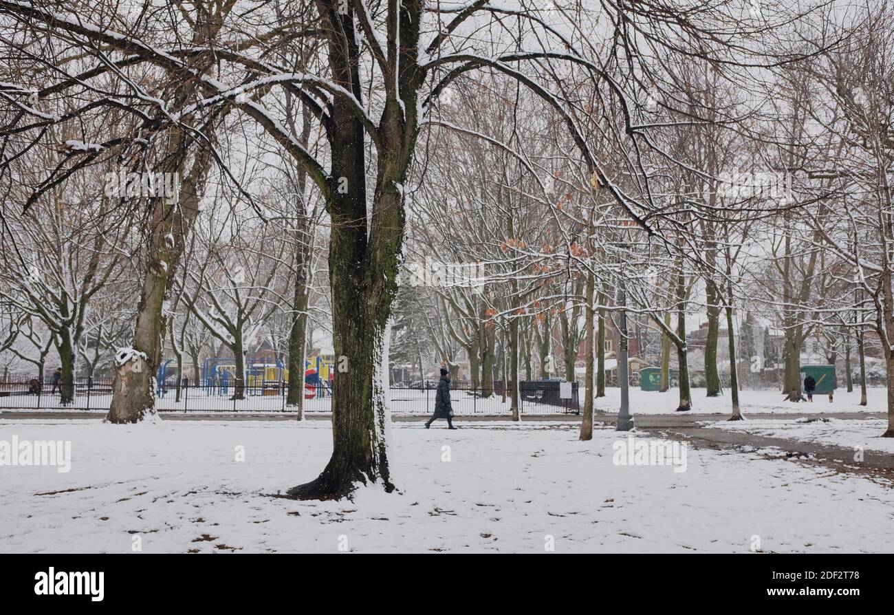Trinity Bellwoods Park in Toronto Stock Photo - Alamy
