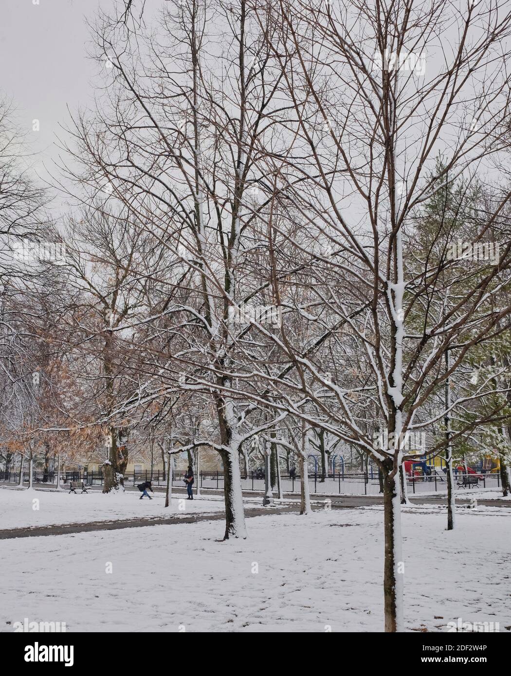 Trinity Bellwoods Park in Toronto Stock Photo - Alamy