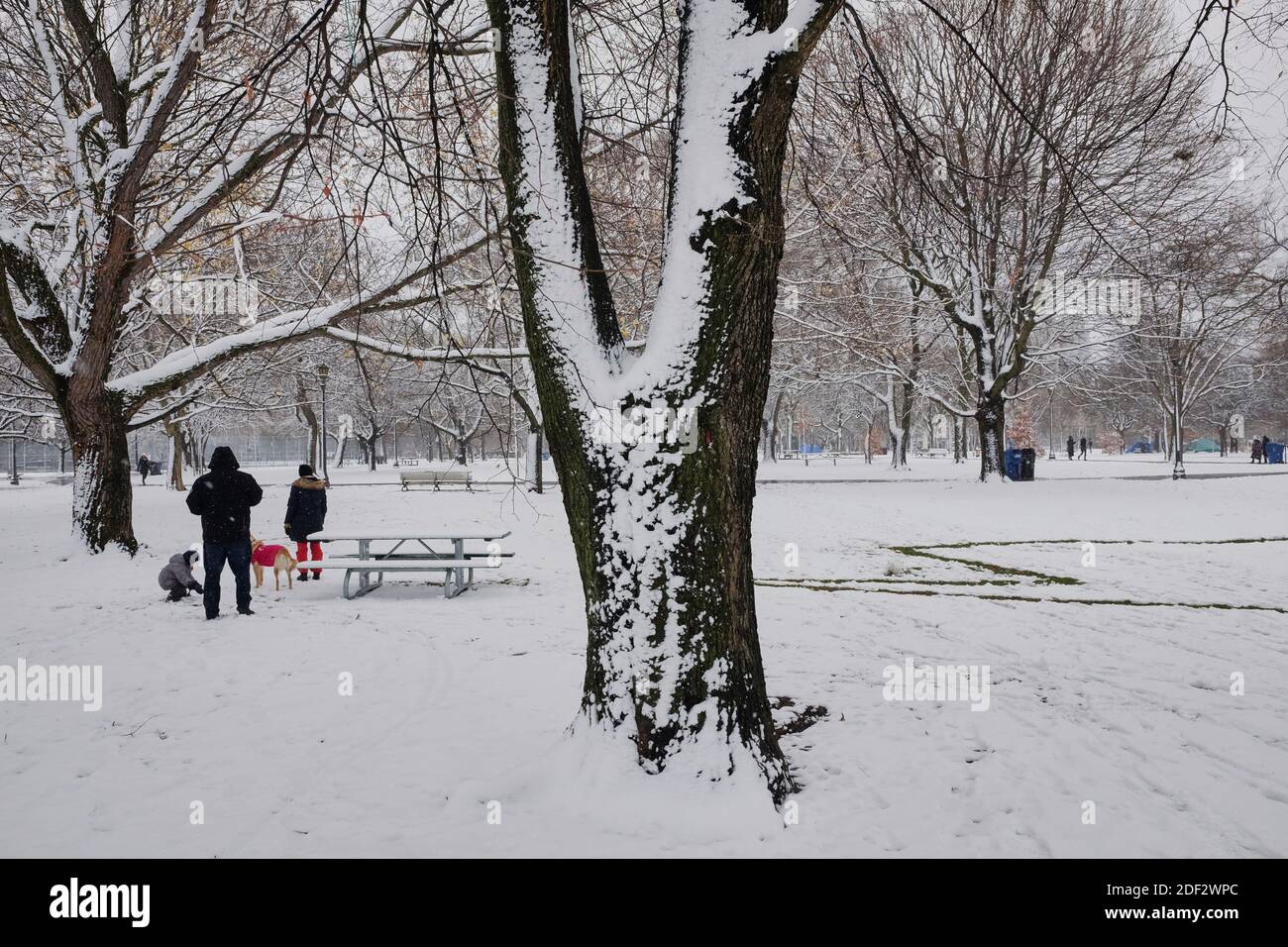 Bellwoods hi-res stock photography and images - Alamy