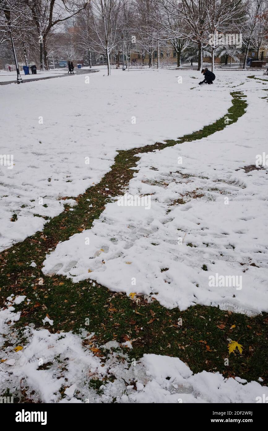 Trinity Bellwoods Park in Toronto Stock Photo - Alamy