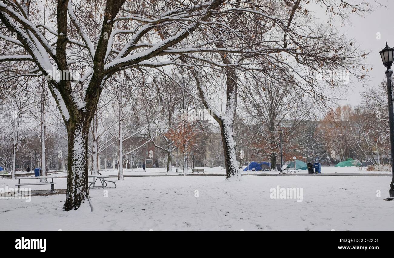 Trinity Bellwoods Park in Toronto Stock Photo - Alamy