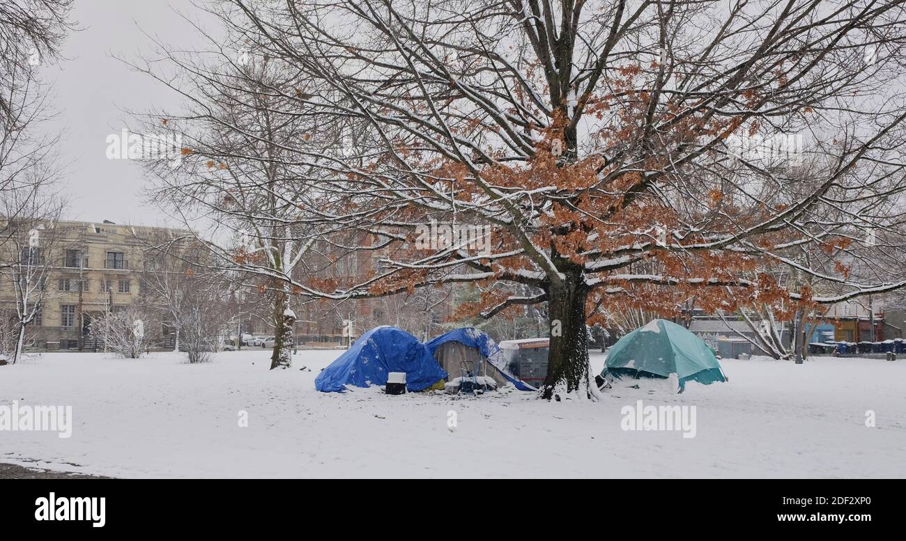 Trinity Bellwoods Park in Toronto Stock Photo - Alamy