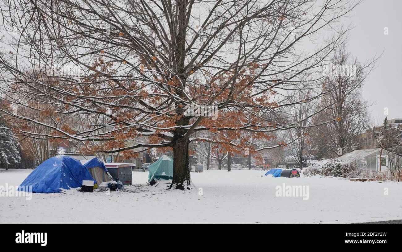 Trinity Bellwoods Park in Toronto Stock Photo - Alamy
