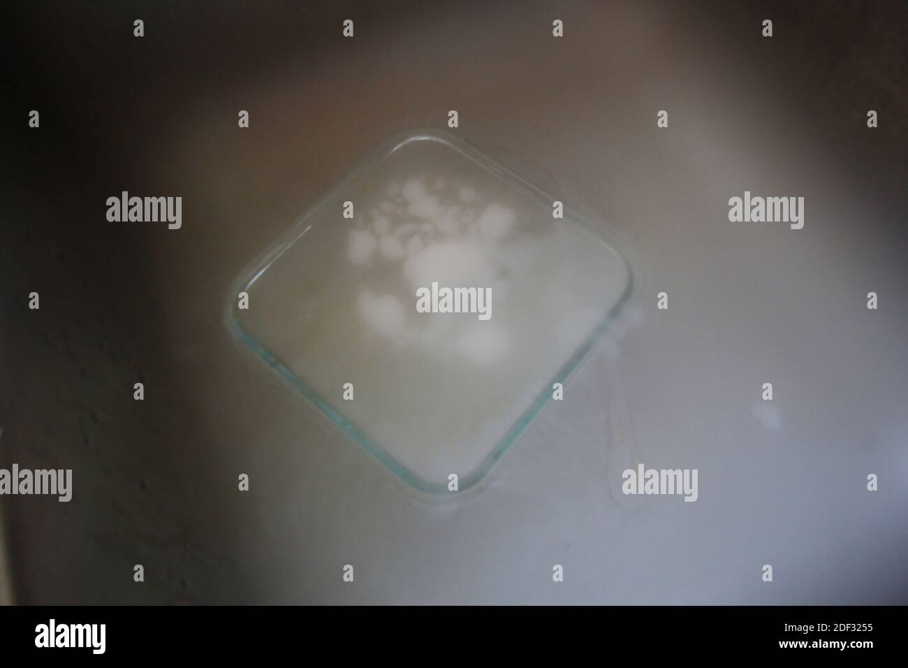 Dry Ice in a Bowl of Water in a Sink Stock Photo - Alamy