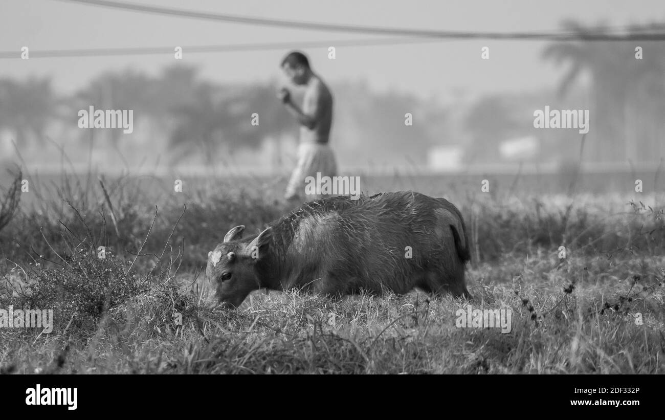 Young man in water Black and White Stock Photos & Images - Alamy
