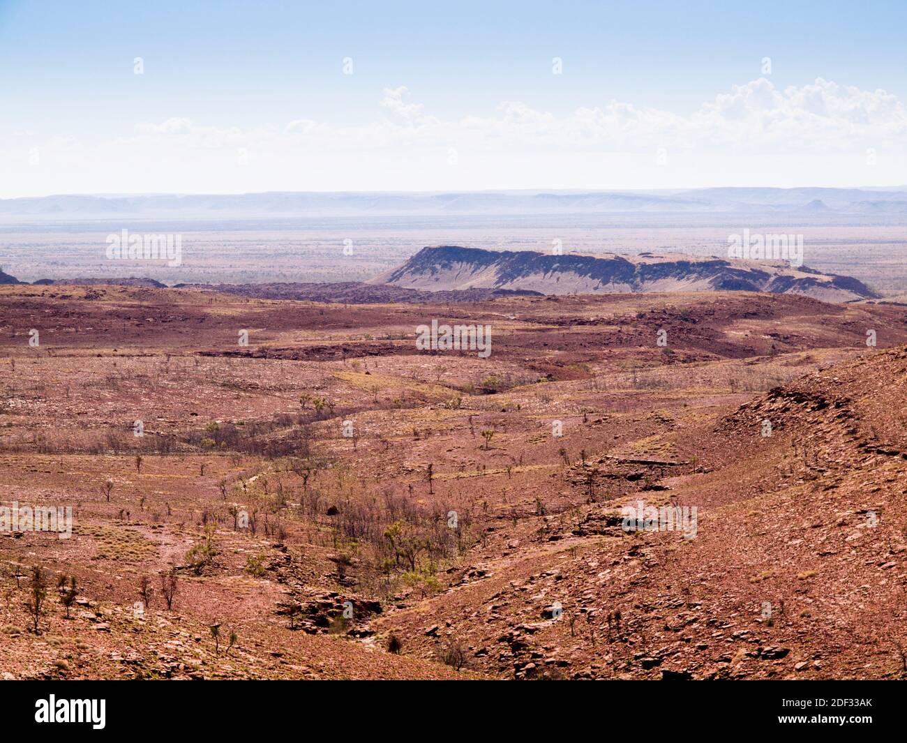 Harsh desert environment hi-res stock photography and images - Alamy